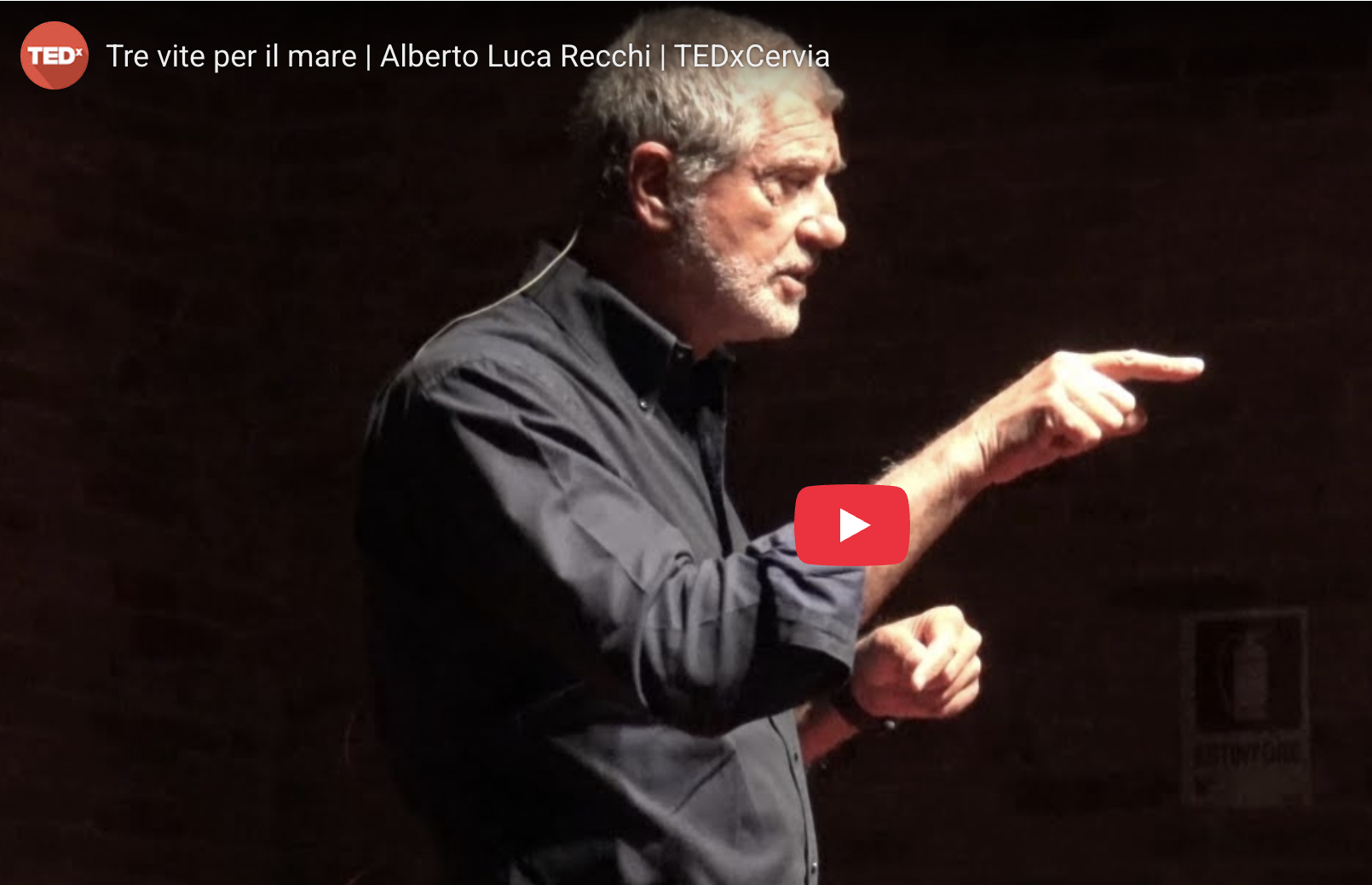 Tre vite per il mare | Alberto Luca Recchi | TEDxCervia - Recchi